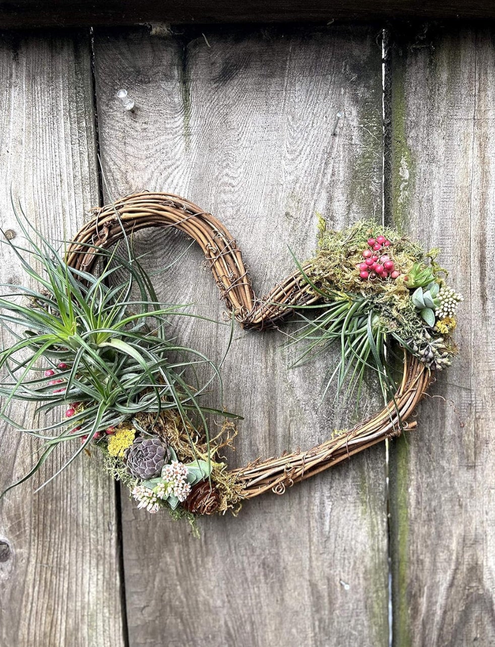 Galentine’s Day, Create Your Own Airplant Heart Wreath Workshop | Just ...